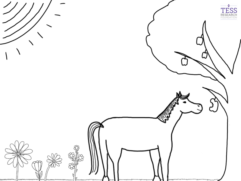 Coloring Pages – TESS Research Foundation
