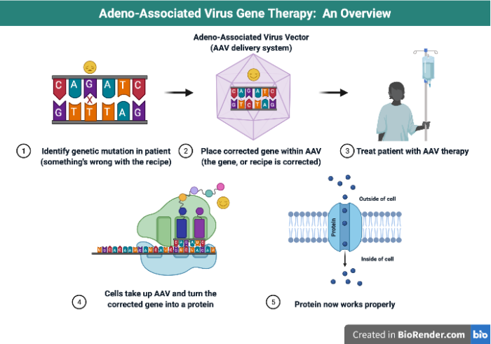 What is Gene Therapy? – TESS Research Foundation