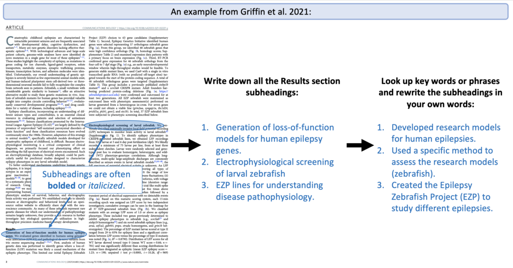 How to read a scientific paper; Part 2: Breaking Down the Information ...