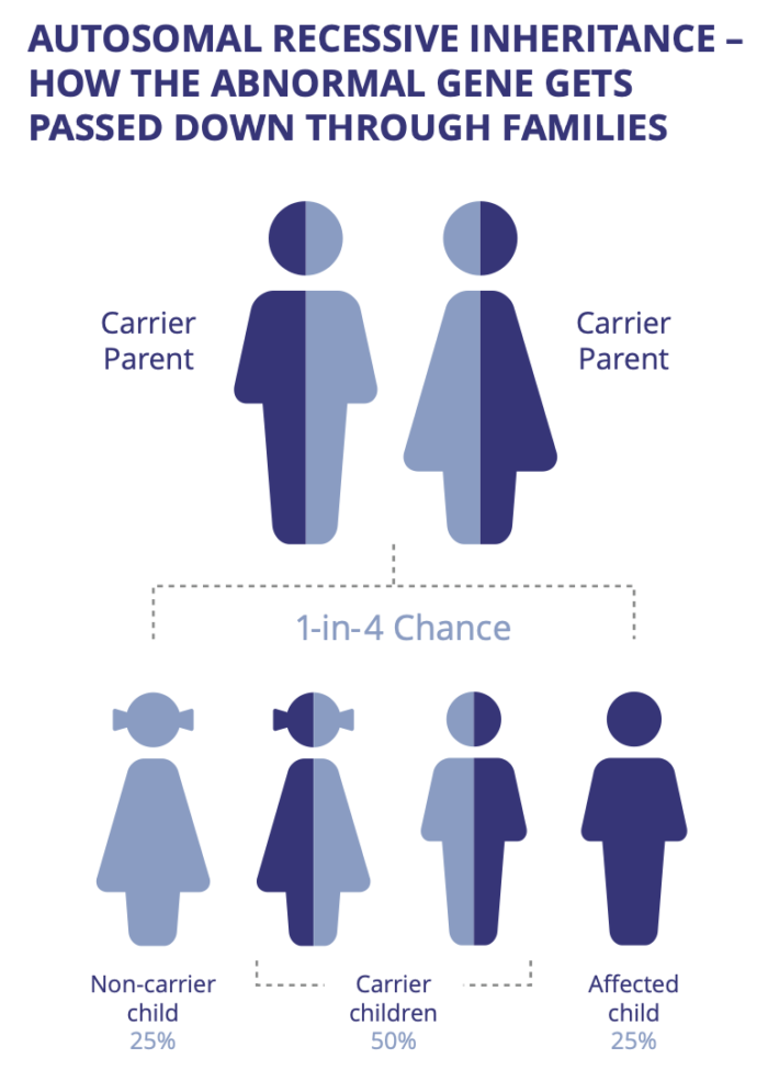 Understanding SLC13A5 – TESS Research Foundation