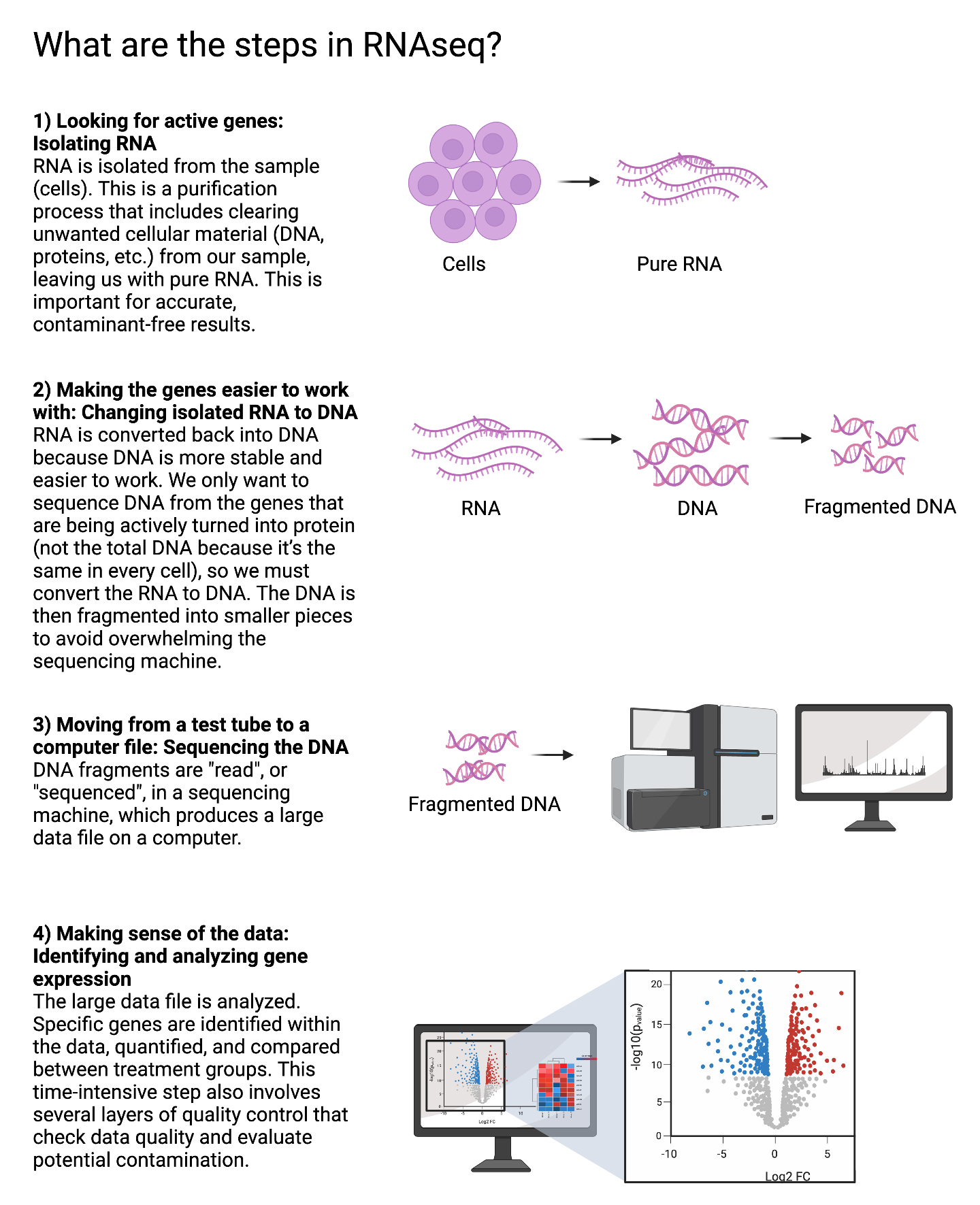What is RNAseq? – TESS Research Foundation