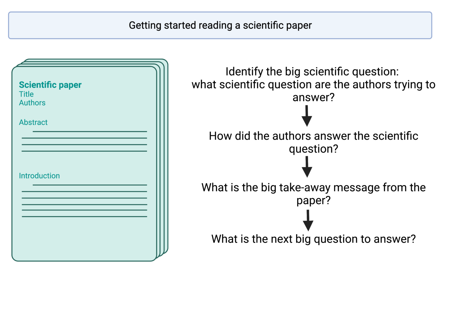 How to read a scientific paper; Part 2: Breaking Down the Information ...