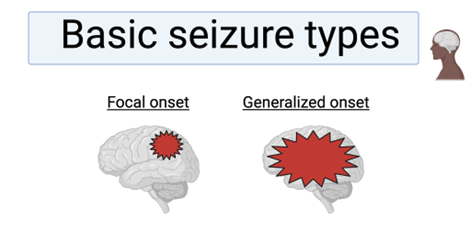 Science Simplified: Anti-Seizure Medications Explained – Patient Worthy