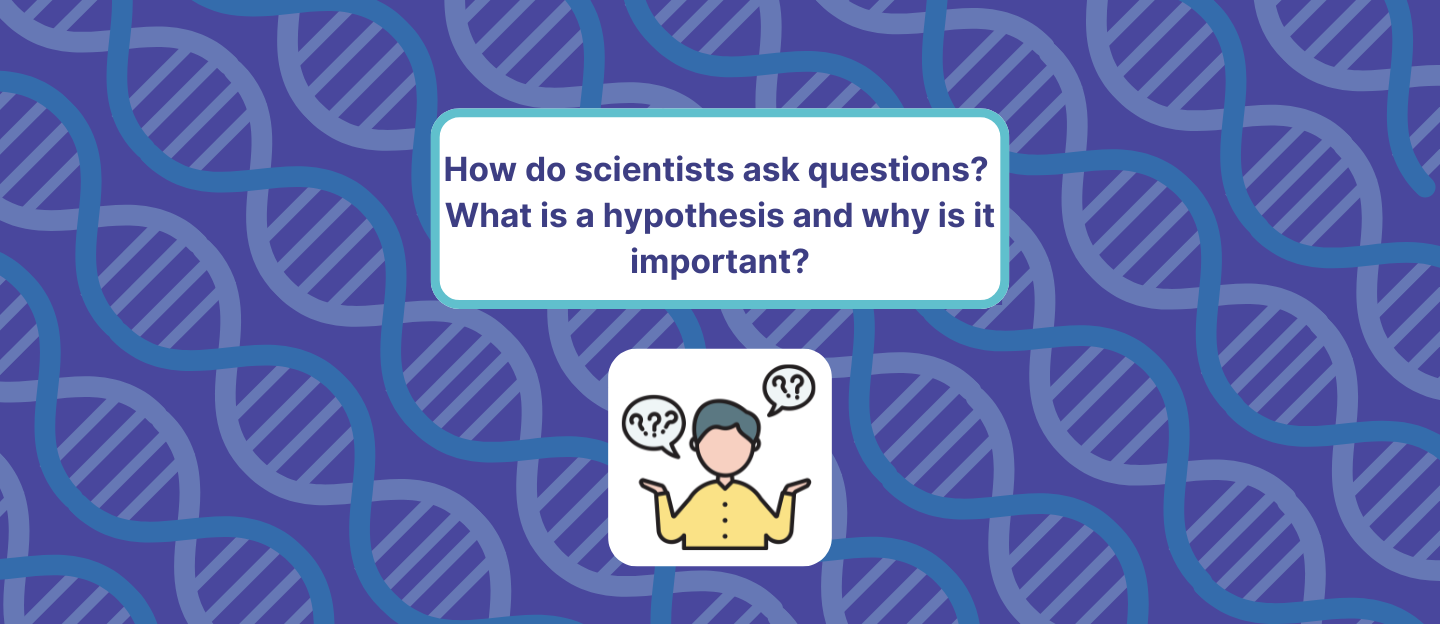 How do scientists ask questions? What is a hypothesis and why is it ...