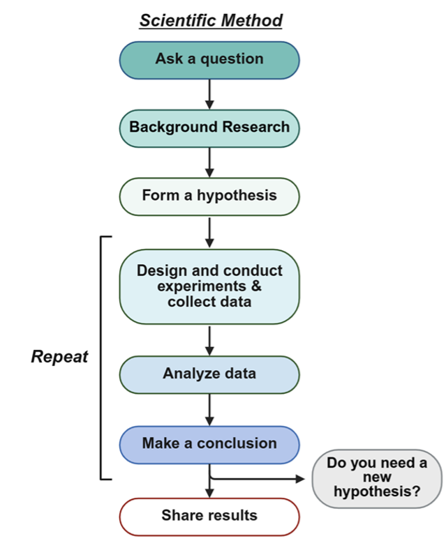Hypothesis Scientific Method